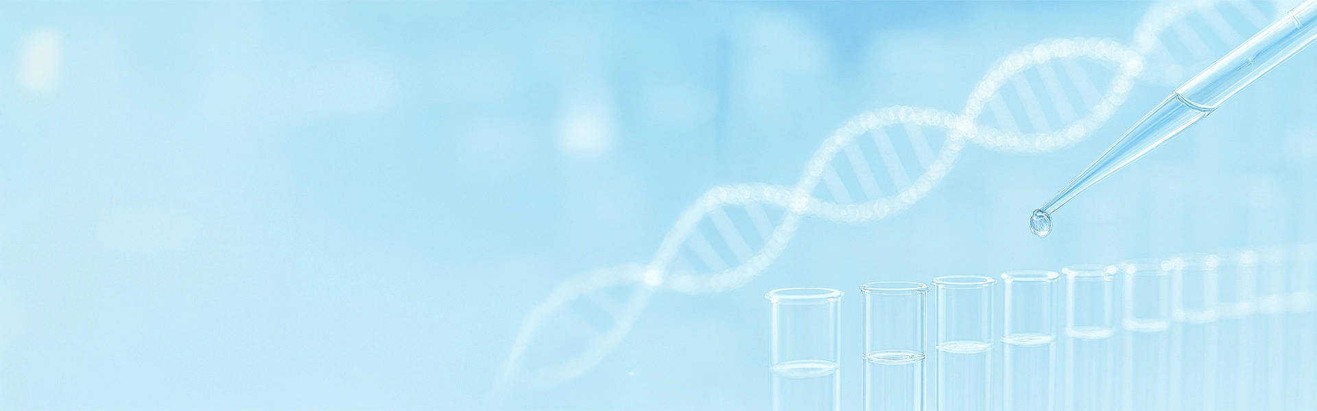 他莫昔芬诱导的CreERT2/loxP系统全解析：原理、泄露现象及实验设计指南